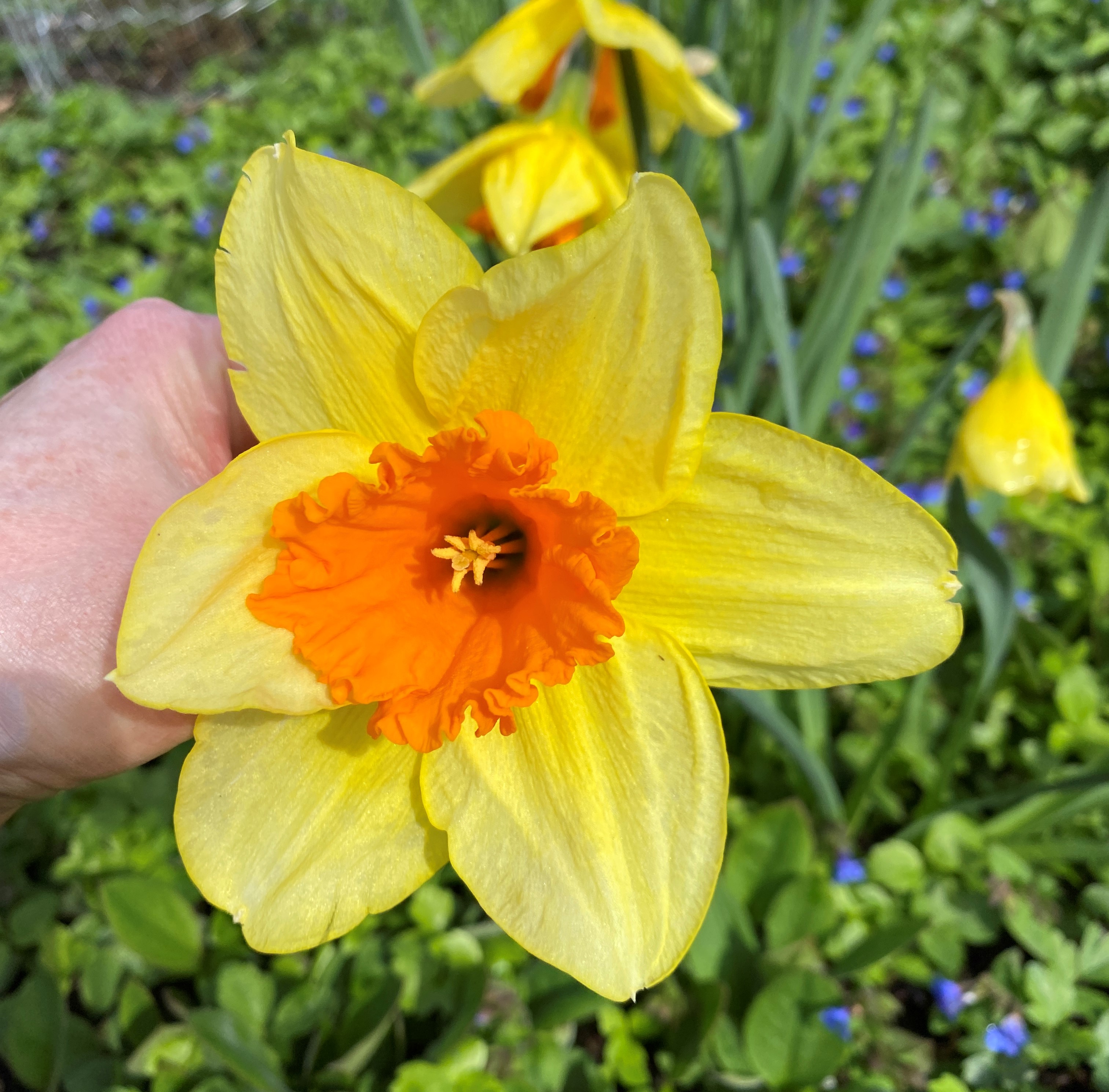 Bellevue Botanical Garden
